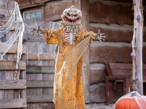 Standing Pop Up Pumpkin Man Prop 5.5ft Halloween Scary Animated Haunted ...