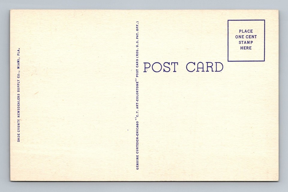 Hollywood FL-Florida The Park Vintage Postcard Standard Souvenir Old ...