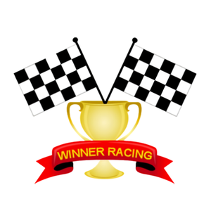 Winner_racing | eBay Stores