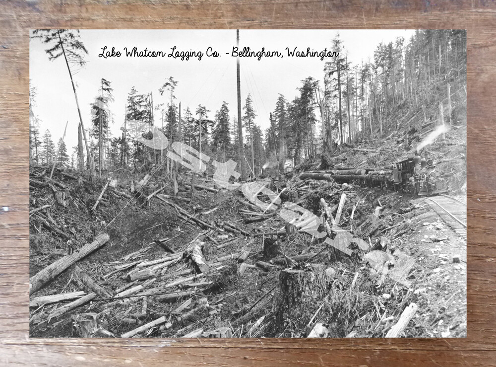 Historic Lake Whatcom Logging Co. - Bellingham, Washington Train ...