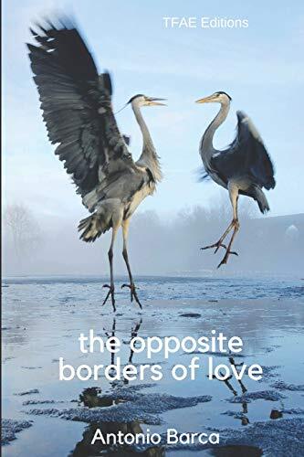 The opposite borders of love: An unexpected thriller, Barca ...