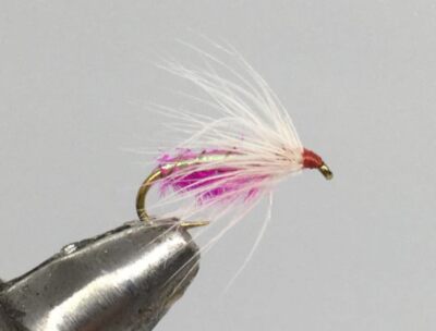 Ray Charles Soft Hackle Pink, 12 Pack Nymph Flies, Strike Fly Company ...
