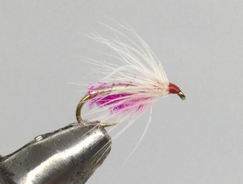 One Dozen (12) - Ray Charles Soft Hackle - Pink - Nymph | eBay