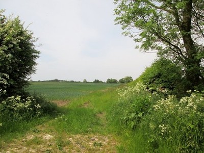 Photo A2 Fields north of Carr Lane Long Riston c2016 | eBay