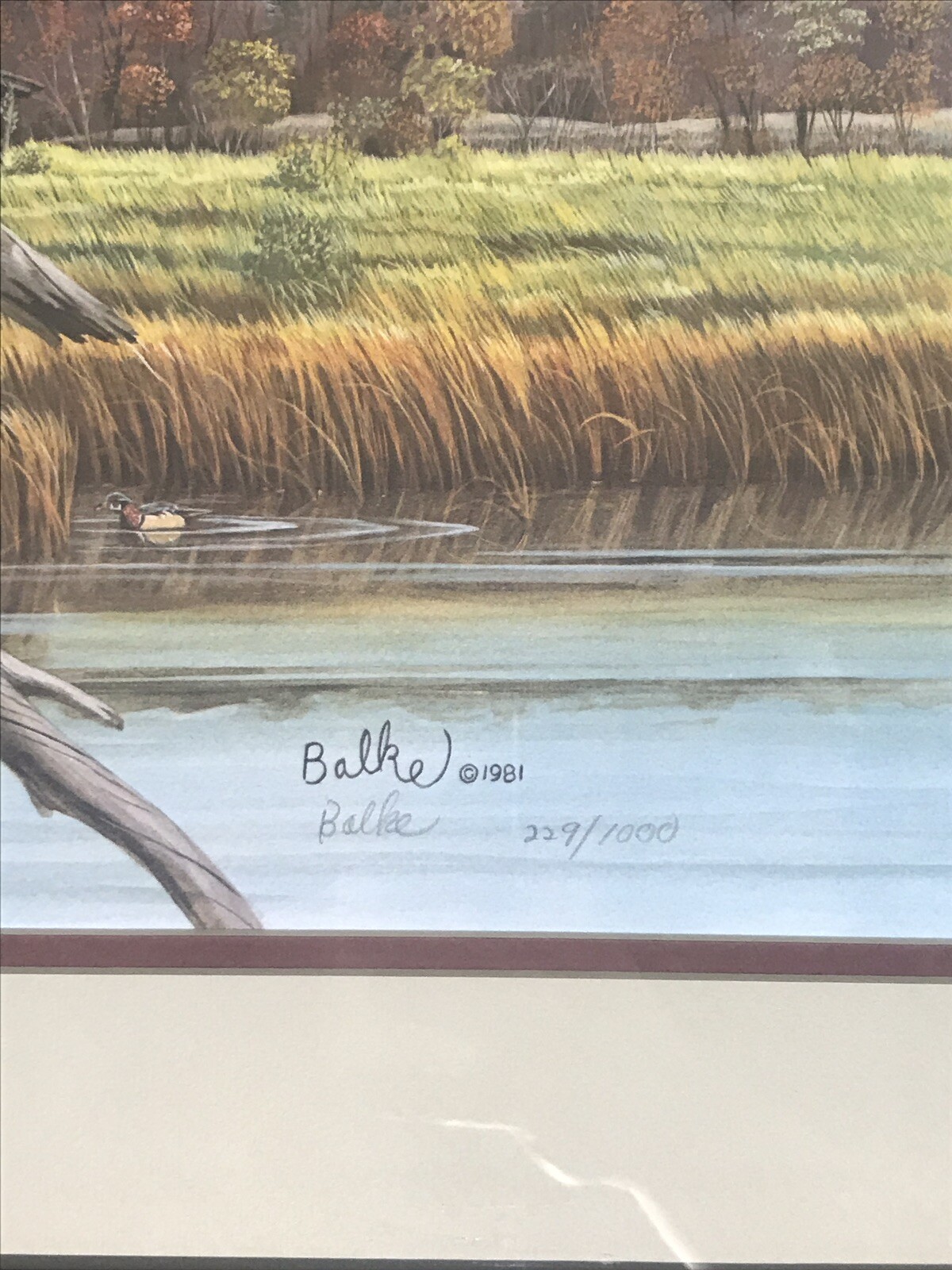 LARGE Don Balke Signed Numbered Framed Waterfowl Wood Duck Lithographic ...