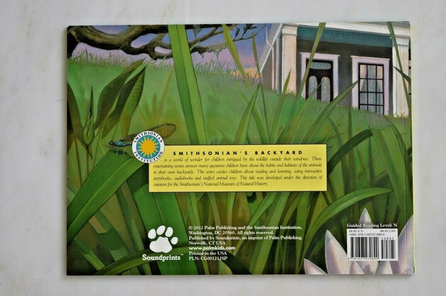 Bullfrog at Magnolia Circle by Deborah Dennard (Mixed Media) for sale ...