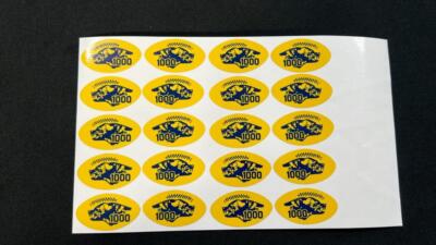 Michigan Wolverines 10 Sets of Full Size Football Helmet Award Decals ...