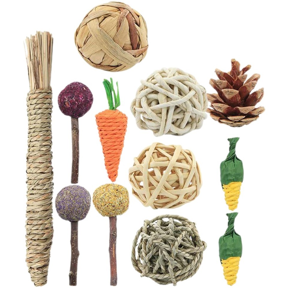 12Pcs Hamster Toys Hamster Chew Toys Small Animals Enrichment Toys for ...