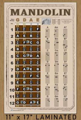 Laminated Mandolin Easy Chords Fretboard Wall Chart Poster Beginner ...