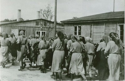 WW II German Photo . ..Jewish Women - Concentration Camp... | eBay