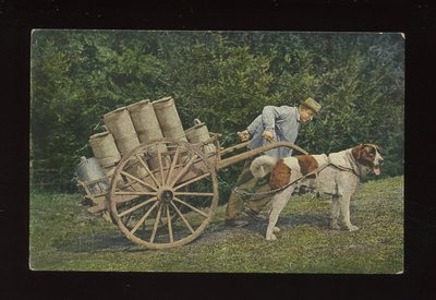 Social History animals DOG CART early PPC | eBay UK