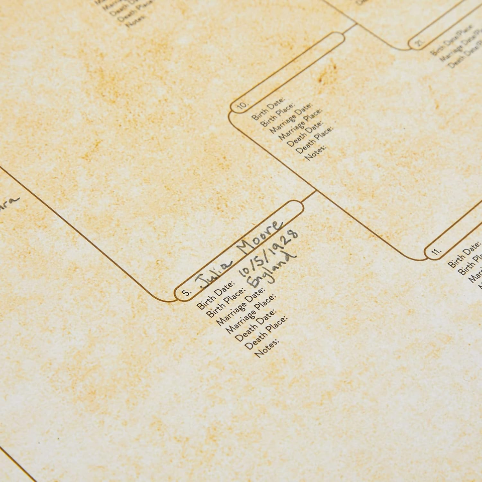 15 Pack Family Tree Charts to Fill In Eight Generation Genealogy Poster ...
