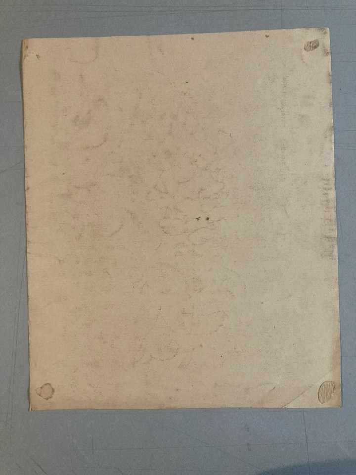 Beautiful Drawing 1860 Flower Pencil Plant Art Nouveau Herbarium ...