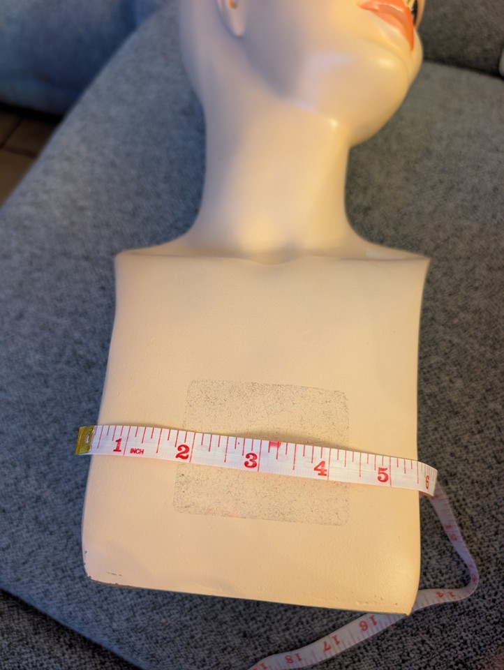 VTG MCM 60's 17" Fiberglass Display Mannequin Head & Chest by Tress ...