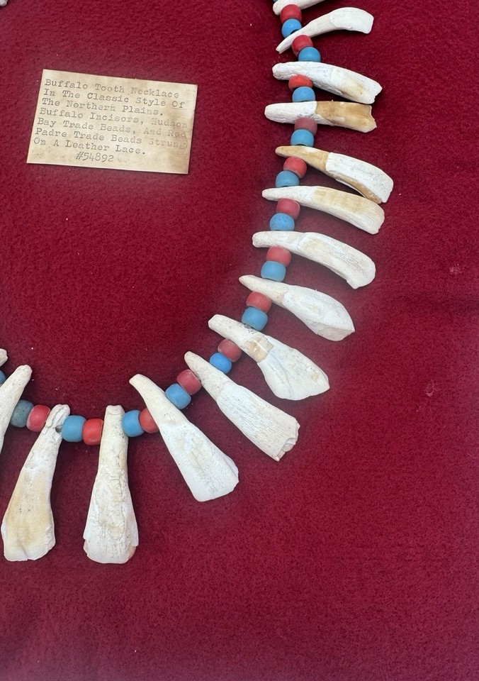 Northern Plains Native American Indian Bead Buffalo Tooth Necklace ...