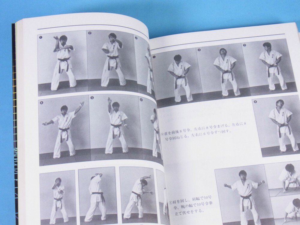 Daido Juku Karate Martial Arts Basic book Takashi Azuma Kudo MMA | eBay
