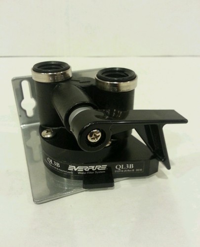 Everpure QL3B Filter Head with Mounting Bracket and shut-Off Valve | eBay