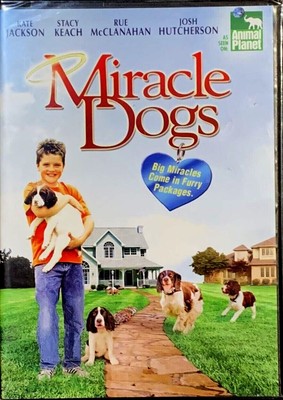 Miracle Dogs NEW (DVD, 2007) English Springer Spaniels Kate Jackson ...