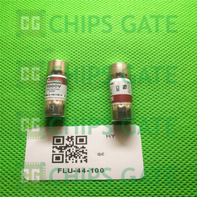 2PCS FLU 44/100 FLU 44/100A FLU-44/100 ORIGINAL Littelfuse Fast Acting ...