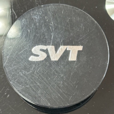 Ford Mustang SVT Wheel Hub Center Cap 1W73-1A096-AA fa6c94e0 | eBay