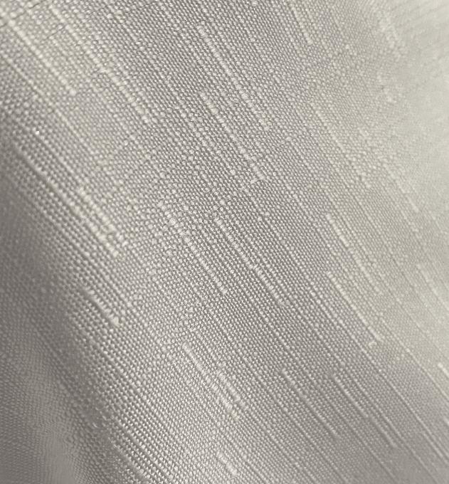 Angus Cattle Women Shirt Cow Casual Shirt Cow Blouses Shirt Womens ...