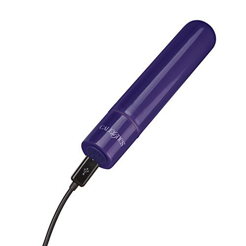 Tiny Teasers Bullet USB Rechargeable Waterproof Purple | eBay