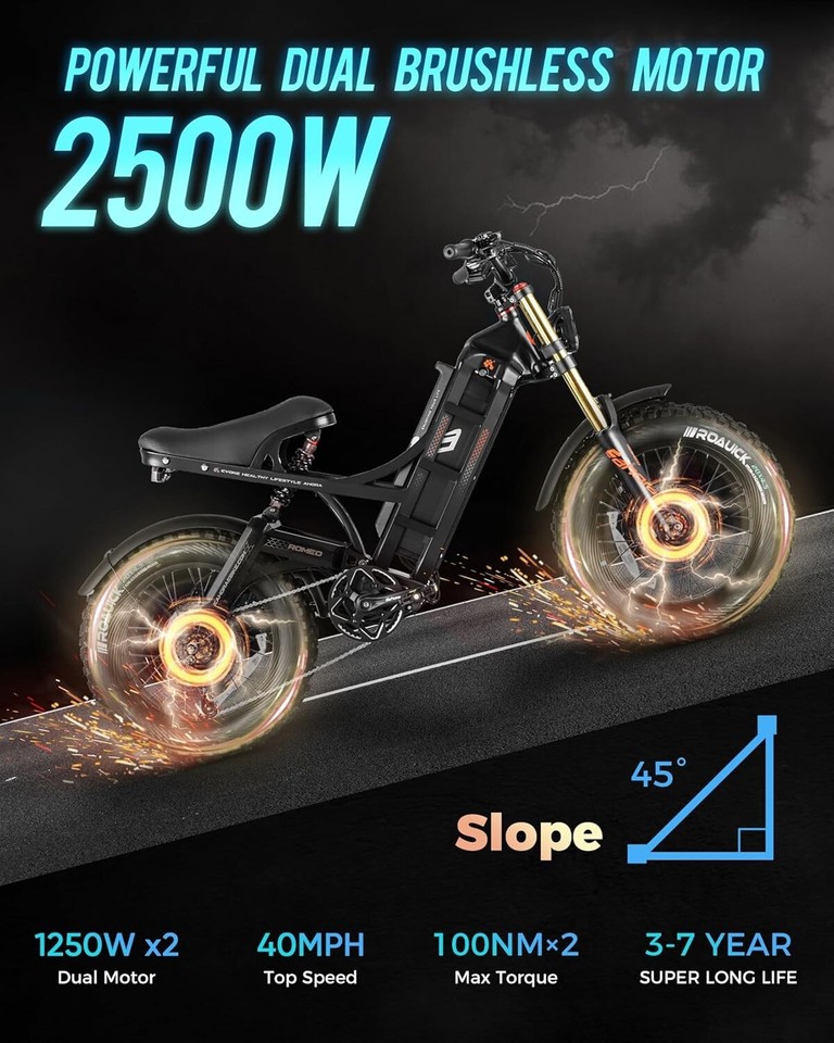RomeoⅡ 2500W Dual Motor Electric Bike for Adults 40 Mph, 60Ah Long ...