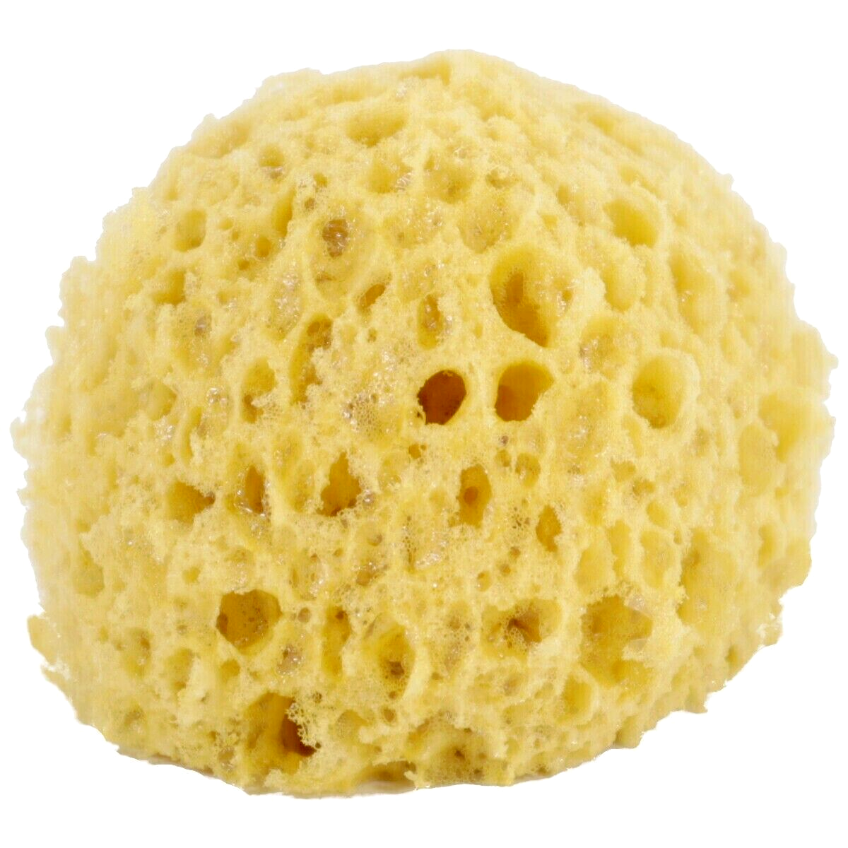 Aqua Bath Sponge x2 Luxury Bath & Body Soft Natural Looking Sea Sponge ...
