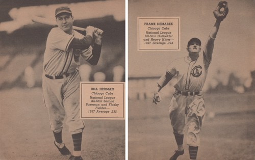 1937 Billy Herman Chicago Cubs Frank Demaree Baseball 1930s Photo Page ...