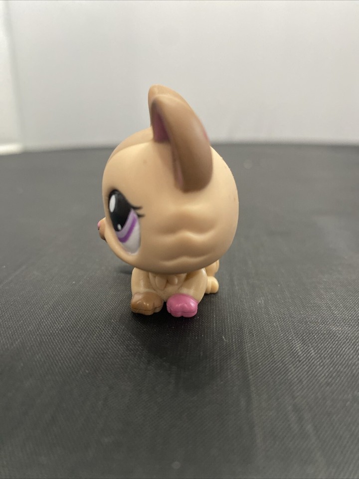 KITTEN CAT #1584 - Authentic Littlest Pet Shop - Hasbro LPS Figure Tan ...