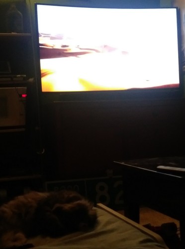 Samsung 6 Series UN49MU6500 49" 2160p UHD LED Internet TV for sale ...