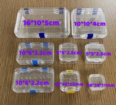 100 PCS Denture Cases Dental Veneers Hinged Display Jewelry Storage Box ...