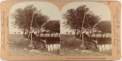 EGYPTE Un Chadouf Pyramides 1899 Photo Stereo Vintage | eBay