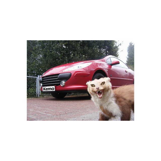 Kemo M048N Ultrasonic Generator Module Component for sale online | eBay