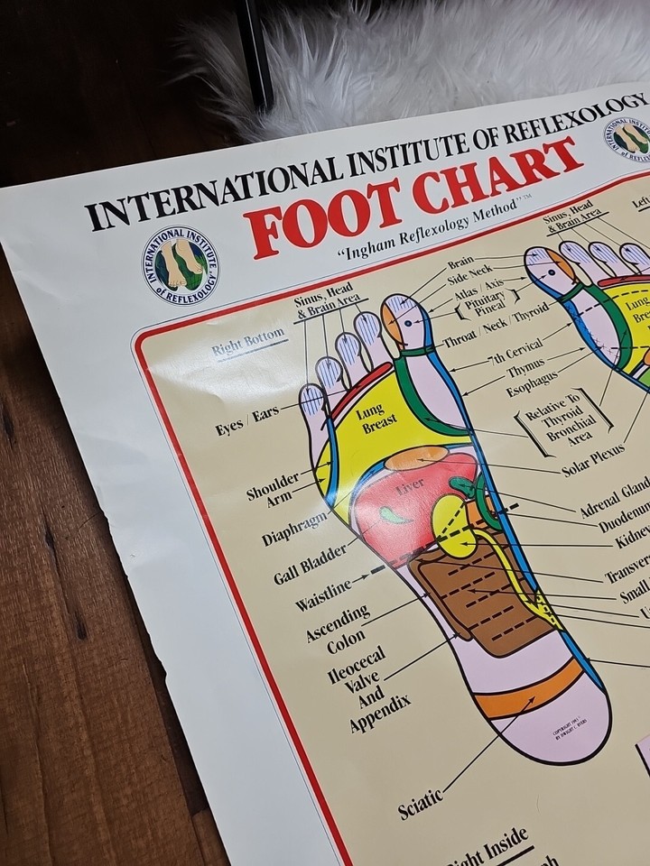Vintage Reflexology Foot Chart Poster Medical 2000 | eBay