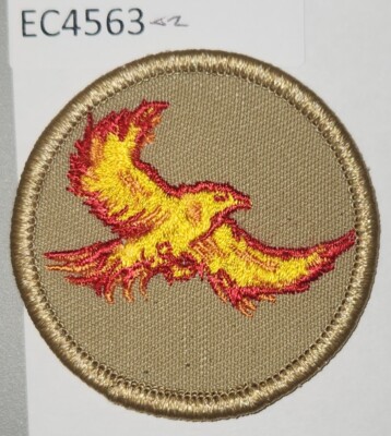 Boy Scout Soaring Flaming Bird Custom Patrol Patch | eBay