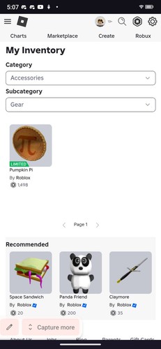 Roblox 2009 With Really Rare Gold Turkey Offsale And More Offsales | eBay