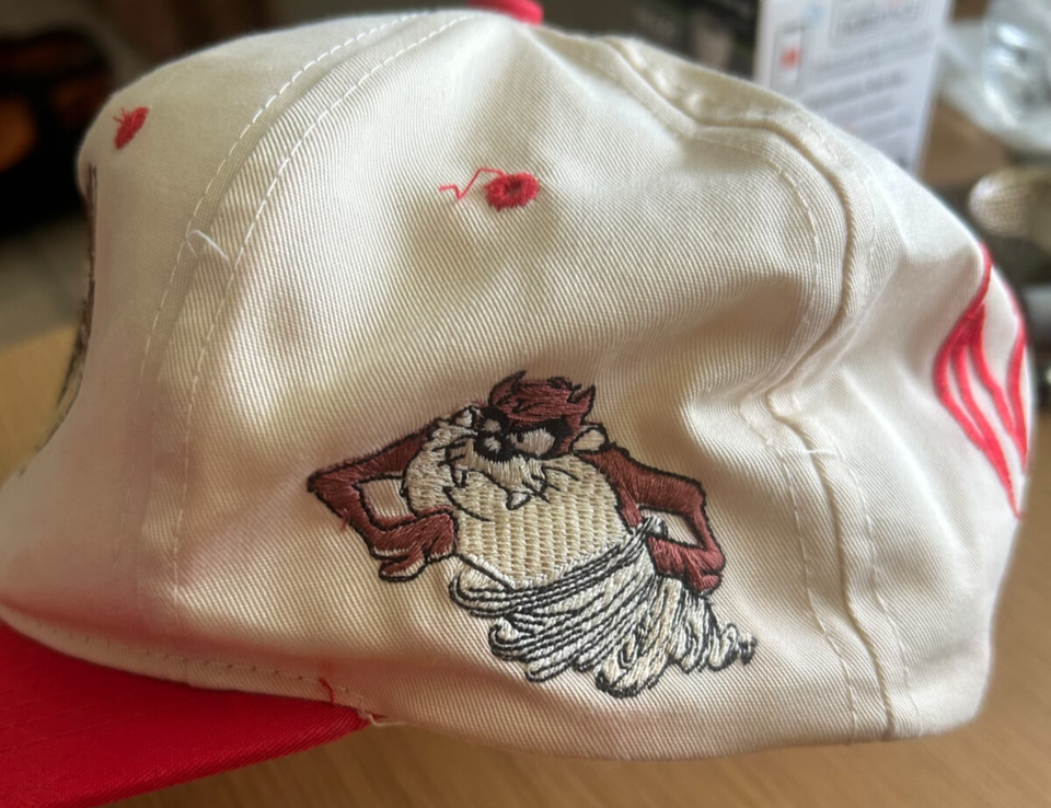 Vintage 1993 Taz Baseball Hat,Embroidered, Snap back,Cap, Red&Tan ...