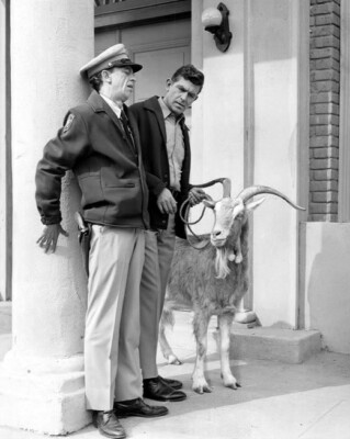 Loaded Goat with Barney Fife & Andy Griffith Show from Mt Pilot 8x10 ...
