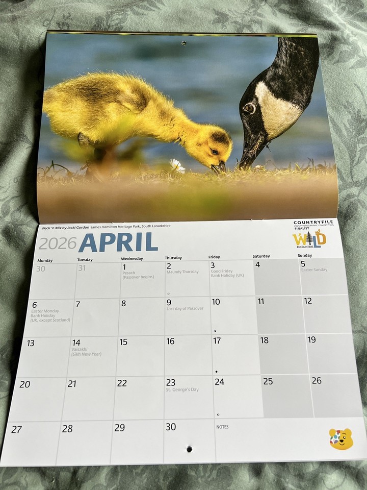 Countryfile Calendar 2026 Brand New #5 | eBay UK