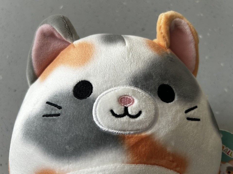 Squishmallows Tahoe The Tortoiseshell Cat Plush Soft Toy | eBay