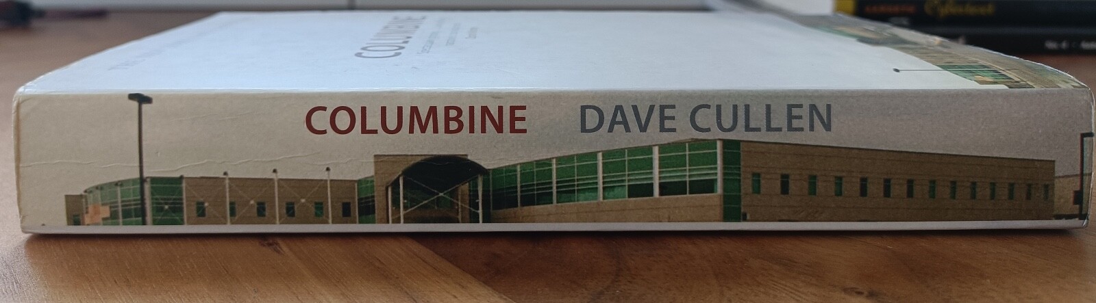 Columbine by Dave Cullen (Paperback / softback) for sale online | eBay