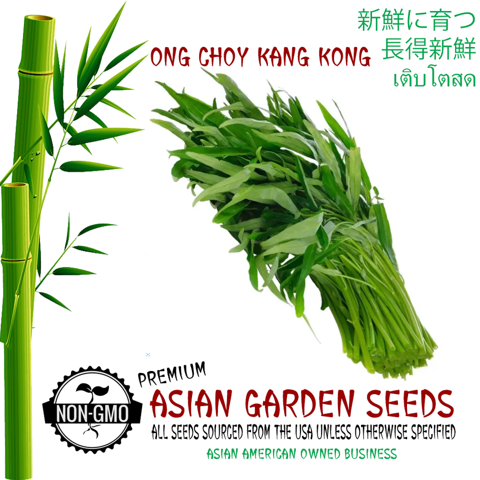 Water Spinach | Ong Choy | Kang Kong Xin Cai | Rau Muống Trắng | eBay