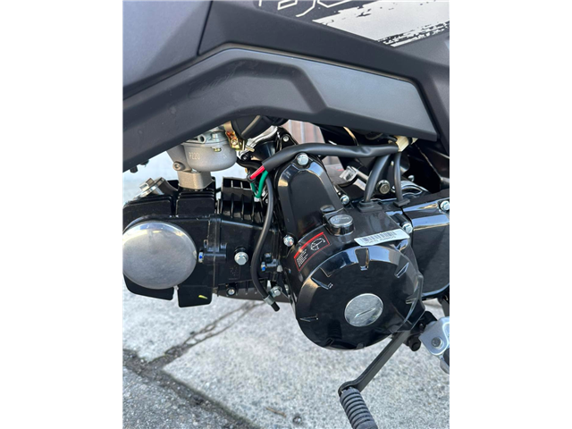 Boss Motor 125cc Vader 125 Motorcycle Electric Start! 4 speed Free ...