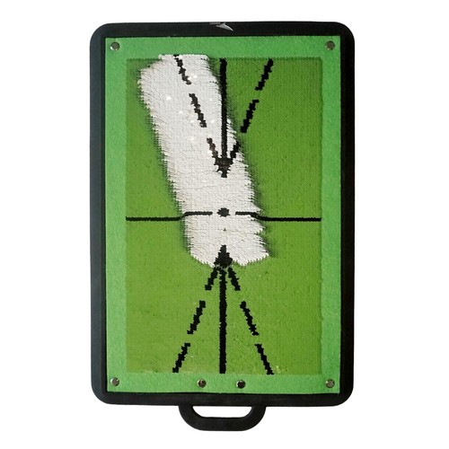 Birdie Mat Pro Premium Swing Training Mat for Analyzing Swing Path and ...