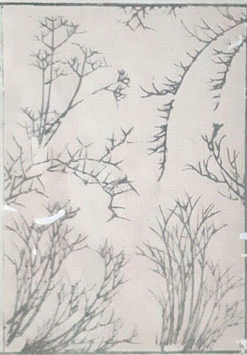 HOKUSAI MANGA Japanese Woodblock Print Tree Branches Twigs Original Edo ...