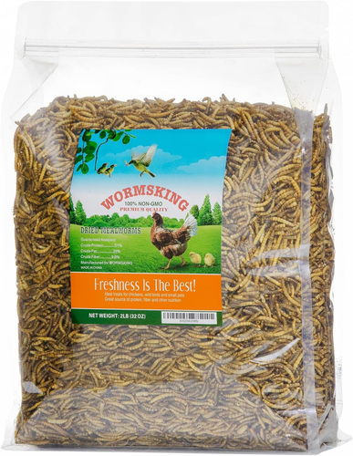 2LB Dried Mealworms for Poultry, Wild Birds,Tasty Bird Food ...