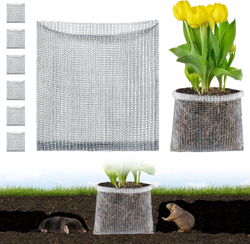 1 Gallon Plant Root Protector for Gopher Voles Moles, 6 Pack Stainless ...