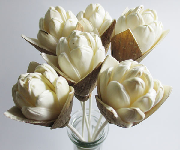 Artificial Ginger Dried Flower Reed Diffuser Decor DIY Fragrance Lot ...