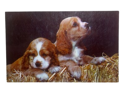 Cocker Spaniel Puppies, Soft Sad Eyes Poem, Vintage Postcard | eBay